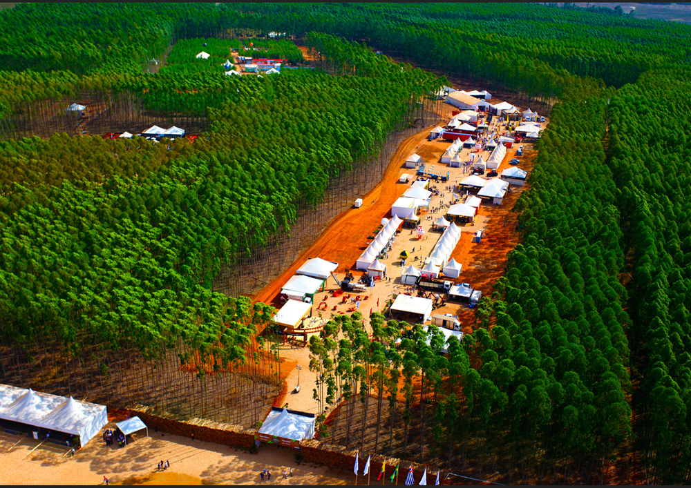 Comércio Máquinas - Brasil tendrá la mayor feria forestal dinámica del ...